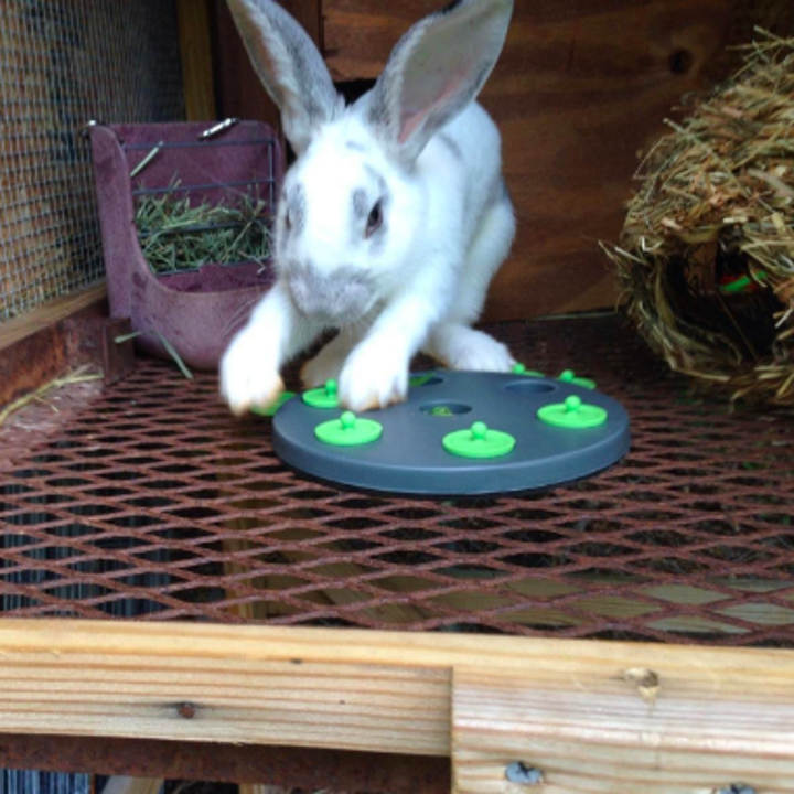29 Cool Pet Products That Are Totally Brag-Worthy
