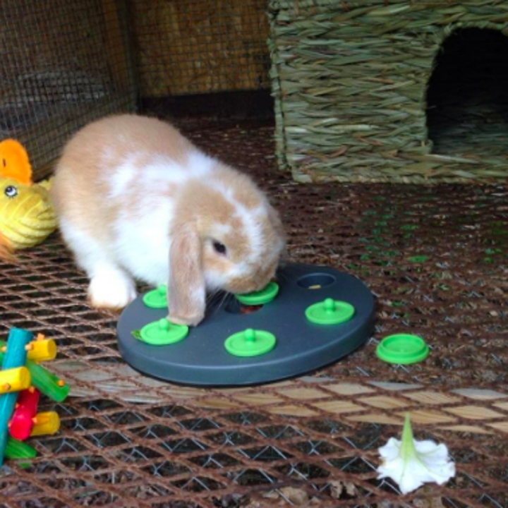 29 Cool Pet Products That Are Totally Brag-Worthy