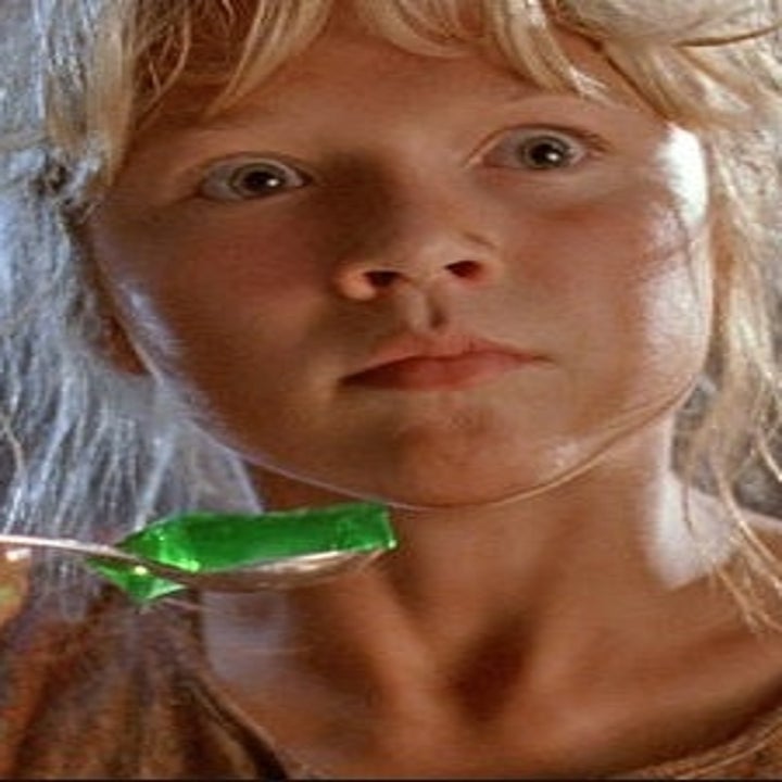 "Jurassic Park" Was Released 25 Years Ago — Here's What The Cast Looks ...