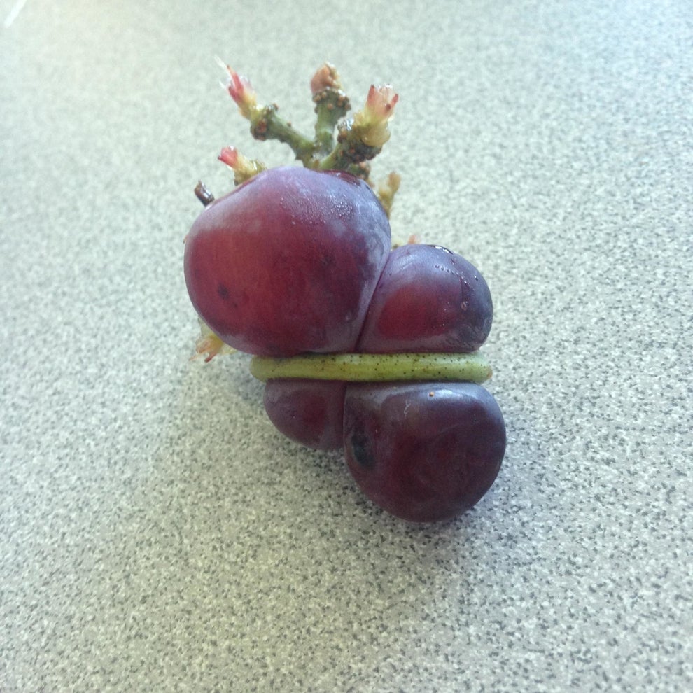 19 Pictures Of Food That’ll Make You Say “WHAAAAAAAAT”