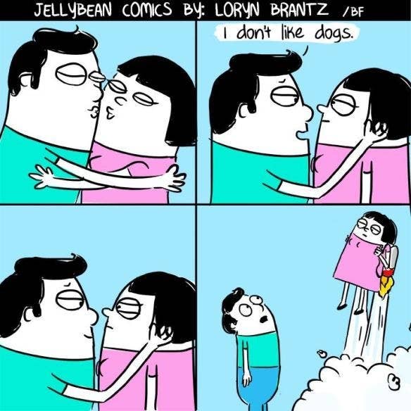 Why Should You Like Dogs