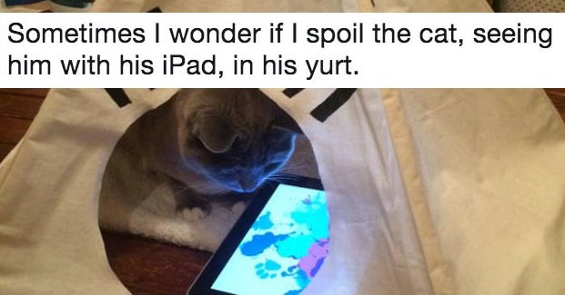99 Of The Most Important Cat Tweets Of All Time