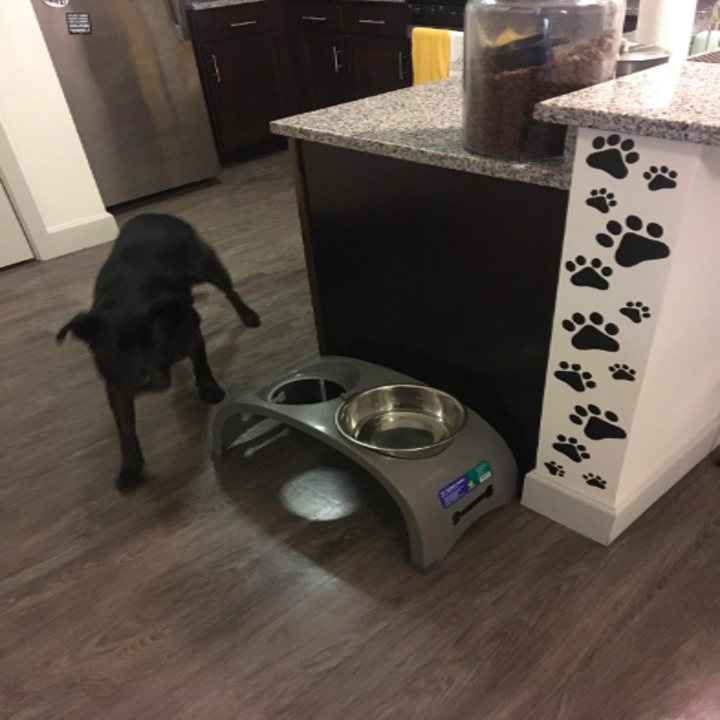 27 Dog-Themed Products That'll Make Your Kitchen So Much More Adorable