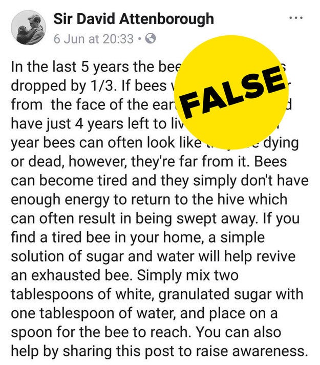 Can You Tell Real News From Fake News? Take This Quiz To Find Out.