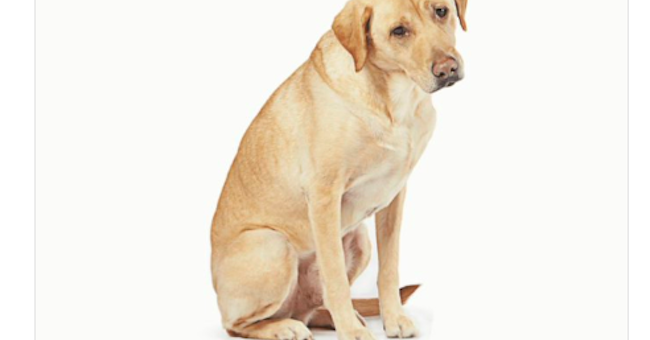 Amazon's Website Crashed On Prime Day And People Were Not Pleased