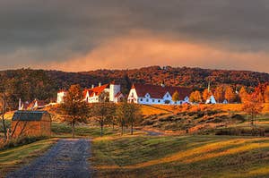 millie48 on BuzzFeed