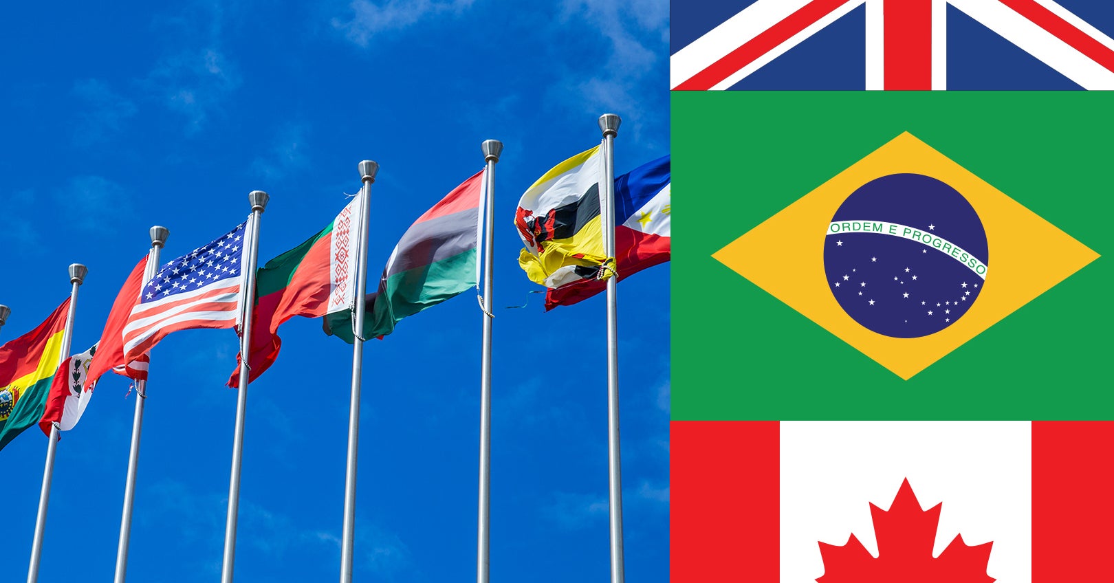 Can You Tell Which Of These Flags Are Fake?