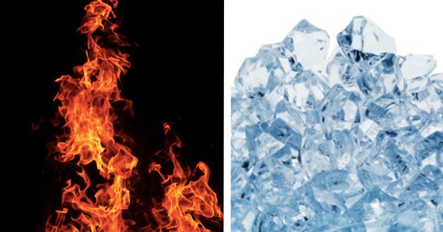 Take This "This Or That" Quiz And We'll Tell You If You're More Like ...