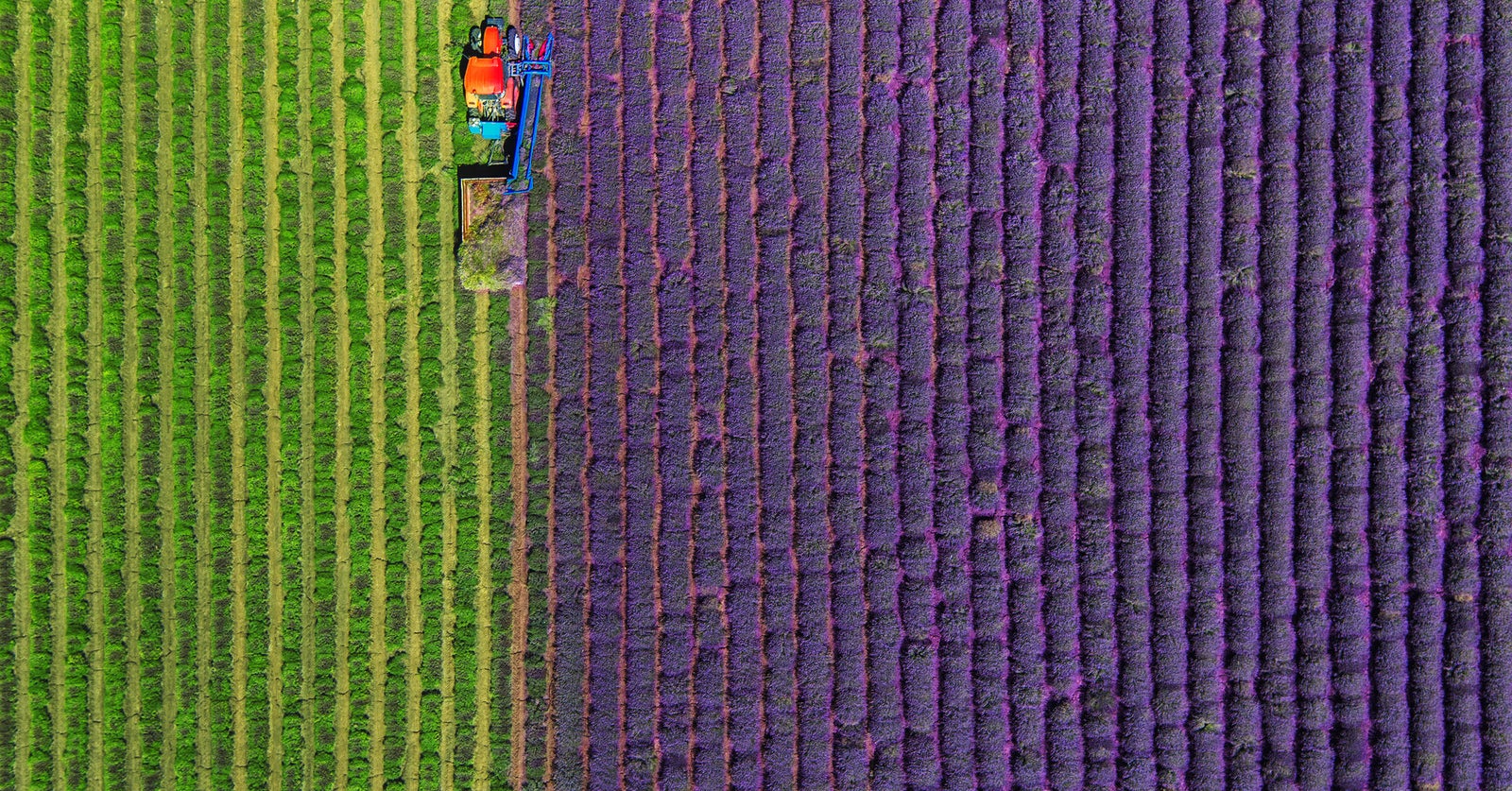 22 Gorgeous Photos Taken From The Bird's Eye View That We're Obsessed With