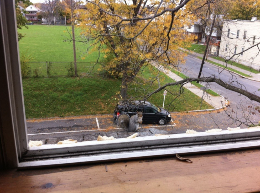 17 Photos Taken From Peculiar Angles That Are Going To Confuse Your Brain