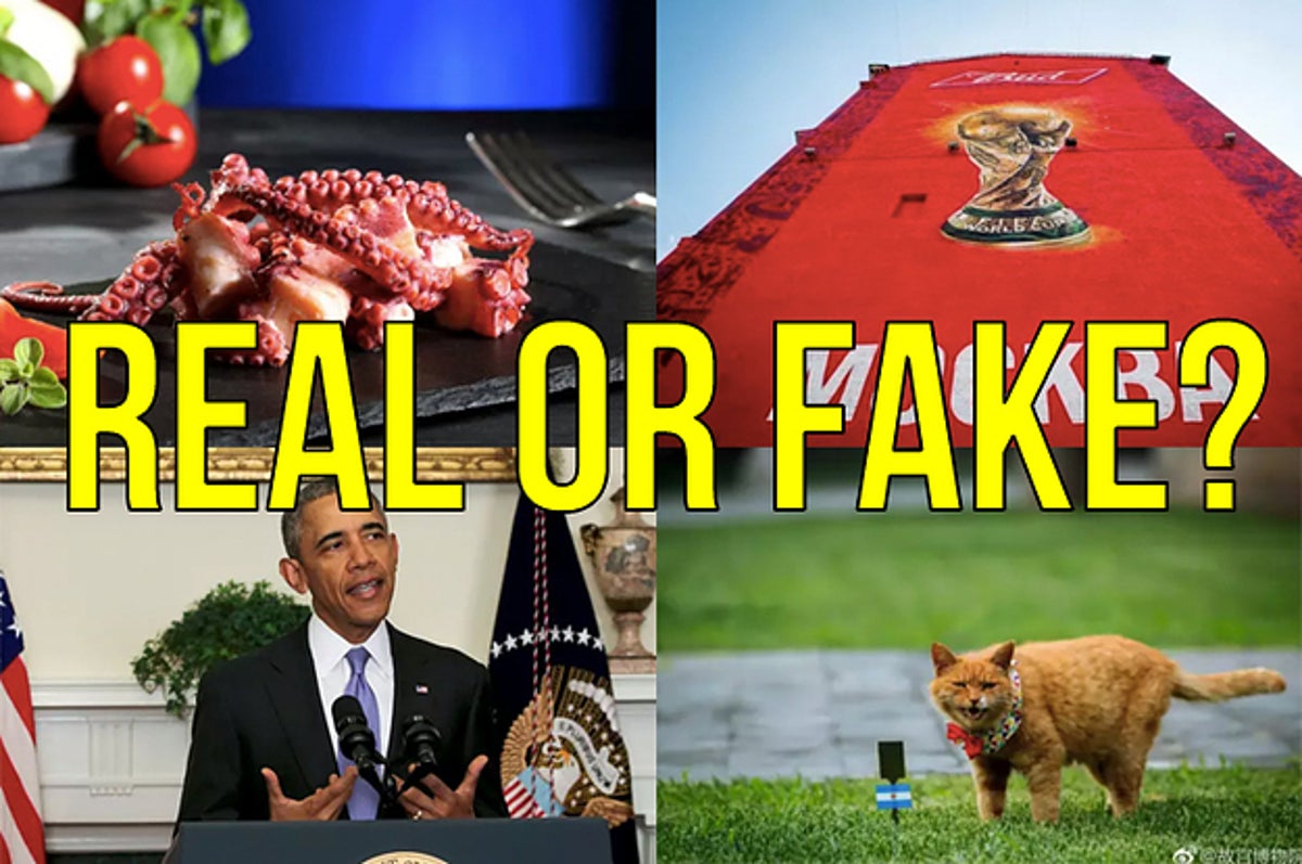 Take This Seven-Question Quiz To Find Out If You're Drowning In Fake News