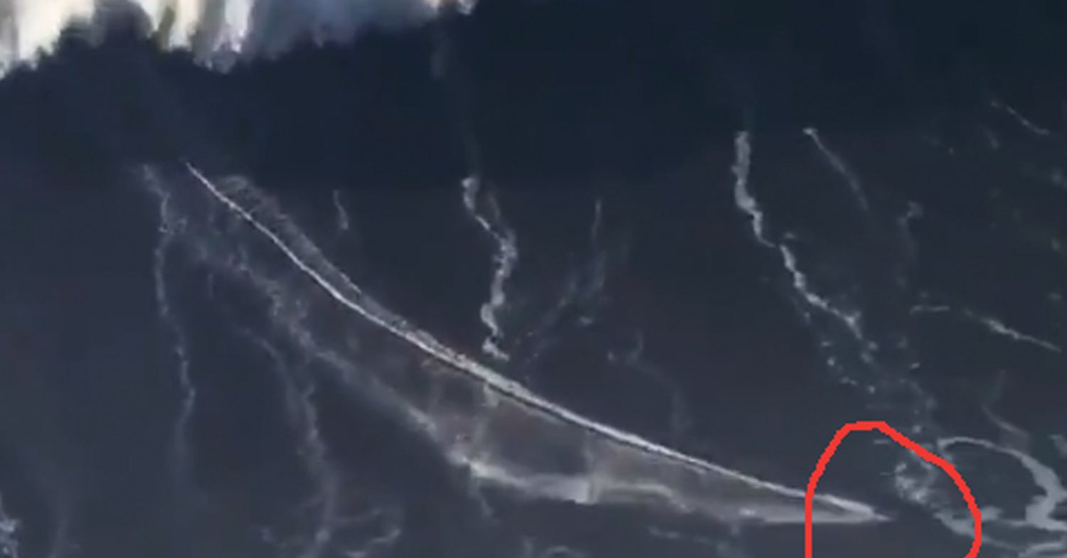 How Scared Are You Of This Massive Wave? Just Wondering