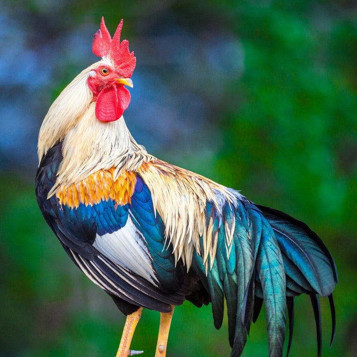 17 Swearing Facts That You Probably Didn't Know