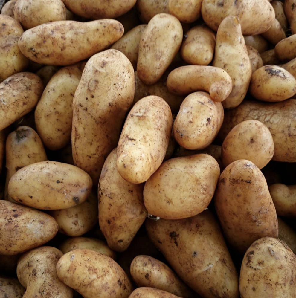 These 19 Random Foods Facts Are Guaranteed To Blow Your Mind