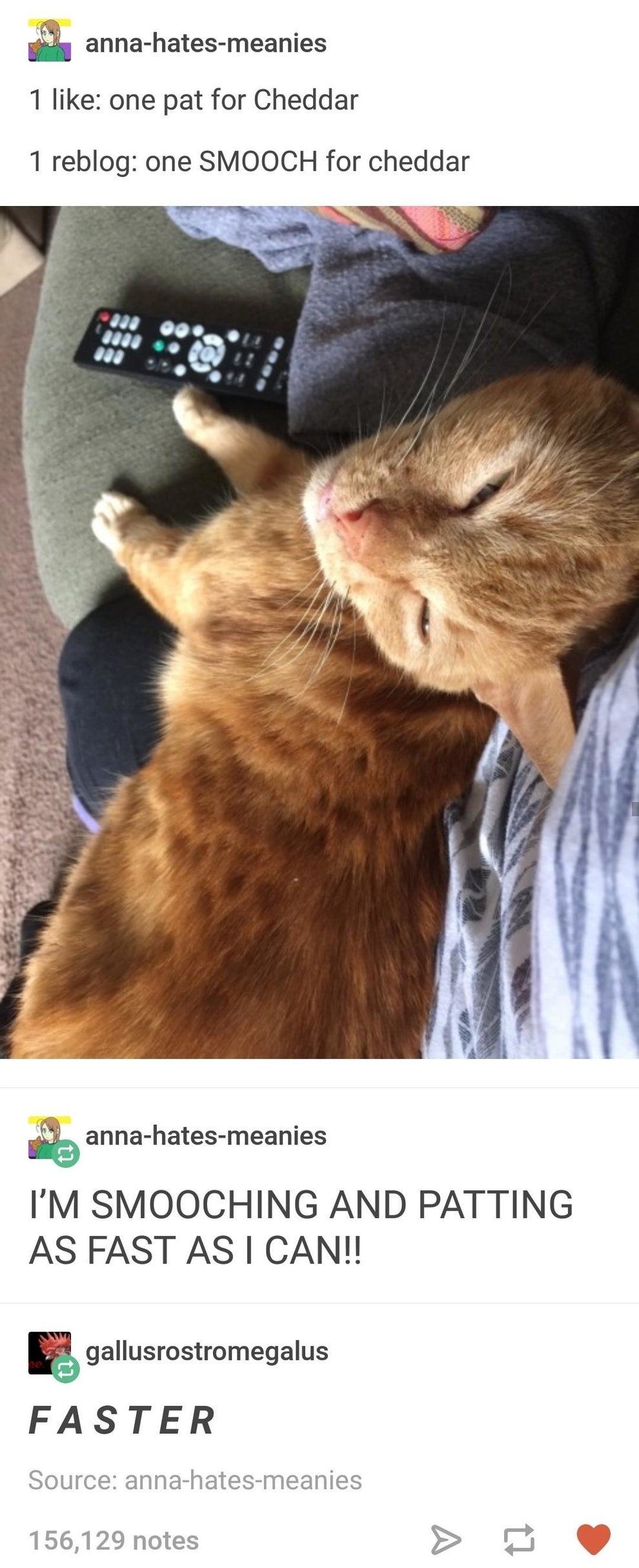 31 Tumblr Posts About Cats That You Absolutely Need To See Right This ...