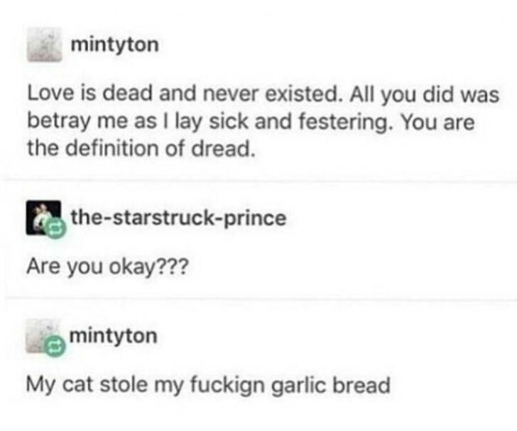 31 Tumblr Posts About Cats That You Absolutely Need To See Right This ...