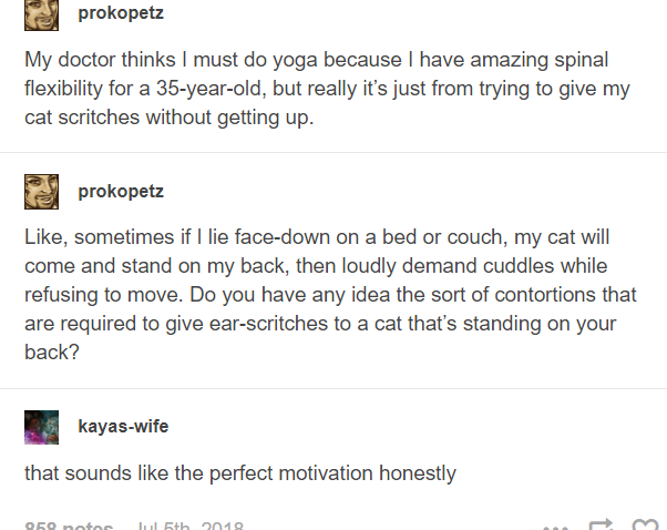 31 Tumblr Posts About Cats That You Absolutely Need To See Right This ...