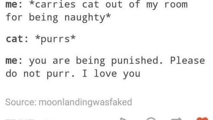 31 Tumblr Posts About Cats That You Absolutely Need To See Right This ...