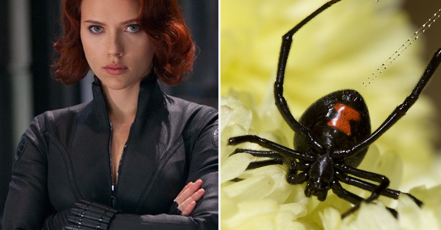 Recast Marvel Characters As Animals, And We'll Give You A Weird Superpower