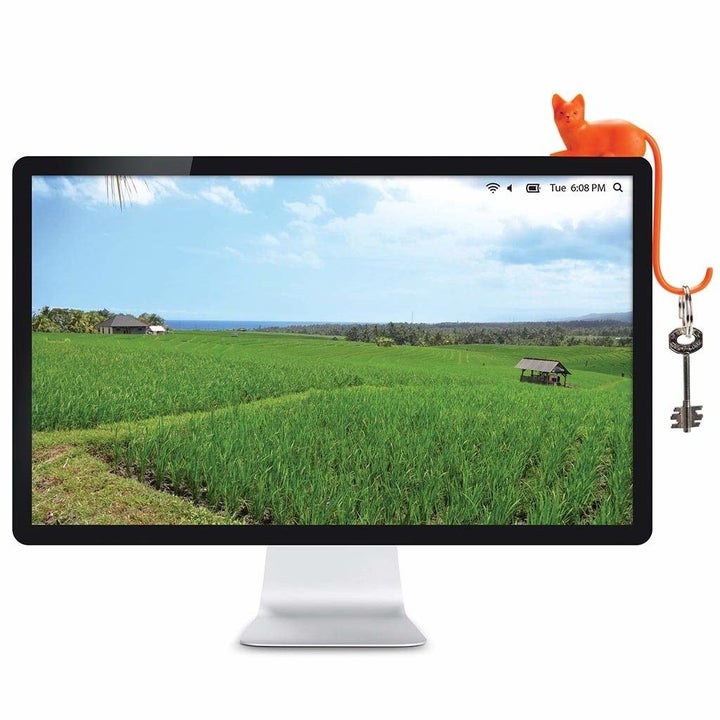 33 Cool And Random Things You Can Probably Afford