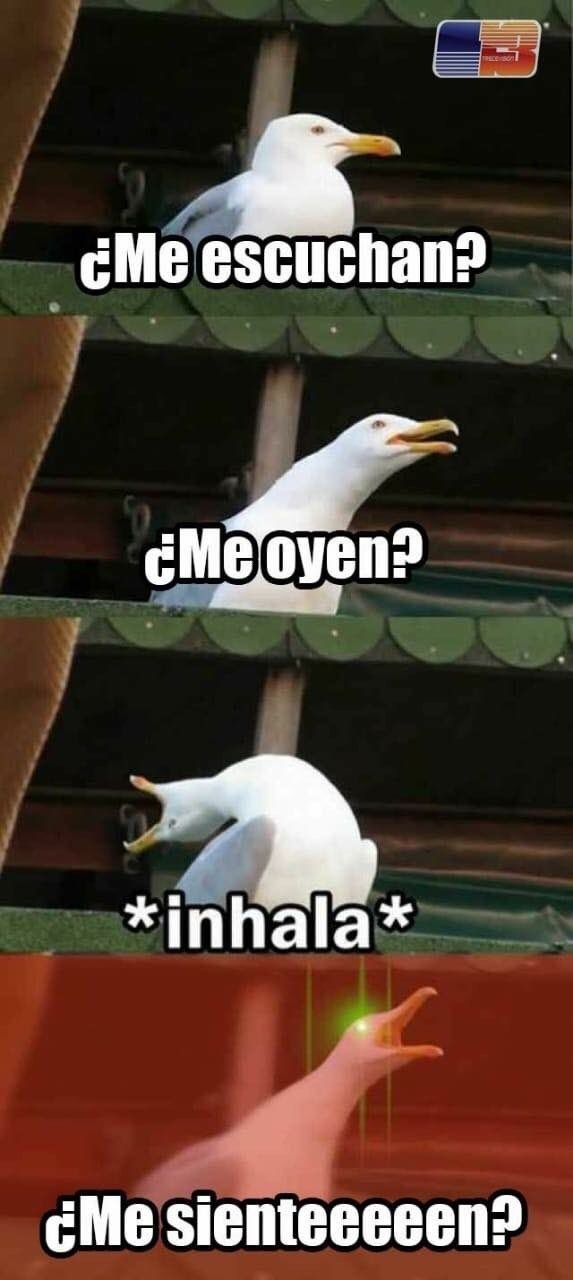 ¿Me escuchan? ¿Me oyen? ¿Me sienteeeeeeen? Entonces tienen que leer ...
