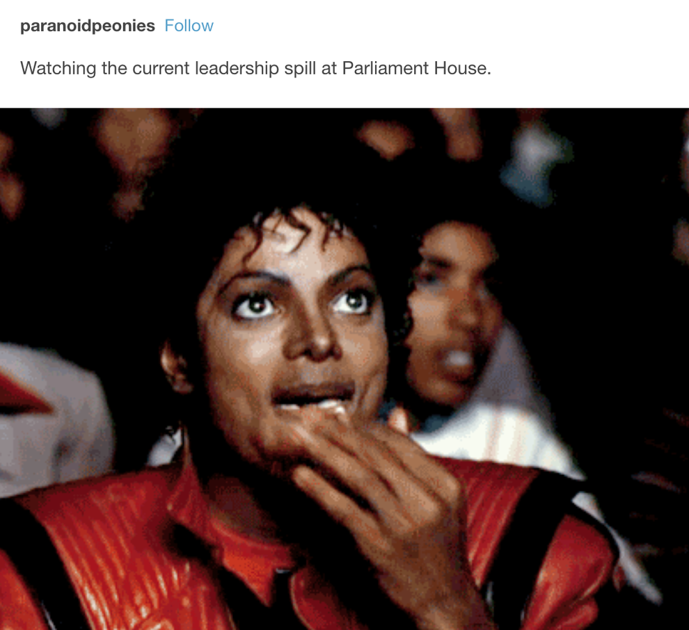 18 Tumblr Posts About Australian Politics That Are A Real Mood Right Now