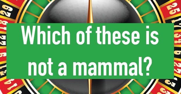 You Need Luck And Smarts To Pass This General Knowledge Trivia Quiz