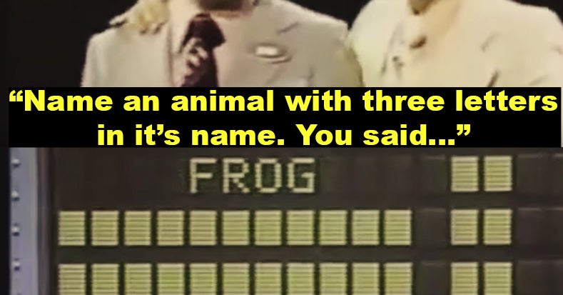 Please Enjoy All Of These Game Show Answers That Made Me Laugh, But ...