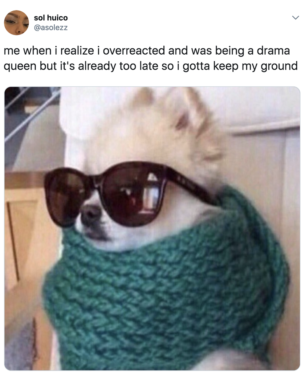 100 Chihuahua Memes That'll Make You Laugh Harder Than You Should