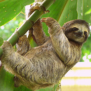 ¿En qué país deberías vivir?