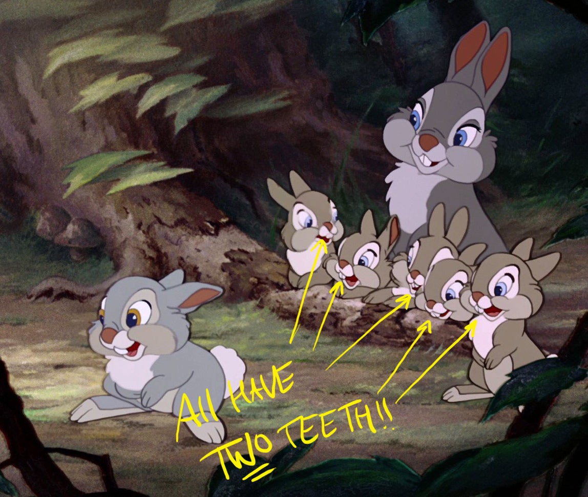 Thumper Is Missing A Tooth As A Baby And OMG How Did I Miss This?!