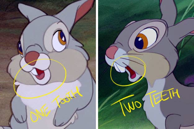Thumper Is Missing A Tooth As A Baby And OMG How Did I Miss This?!