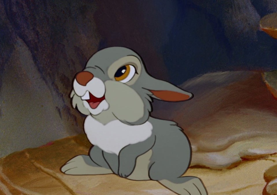 Thumper Is Missing A Tooth As A Baby And OMG How Did I Miss This?!