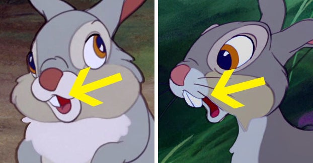 Thumper Is Missing A Tooth As A Baby And OMG How Did I Miss This?!