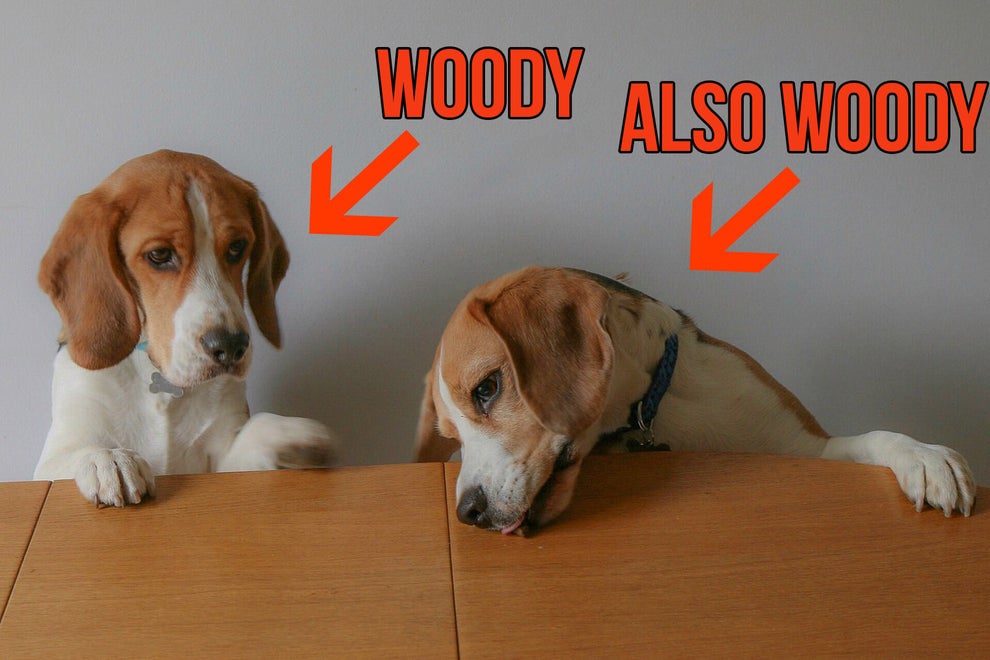 21 Amazing Coincidences That Will Make You Go, "No Flipping Way!"