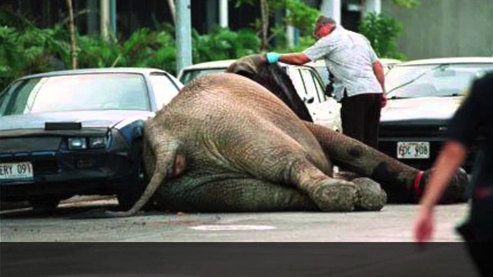 14 Of The Most Disturbing Documentaries On Netflix Right Now