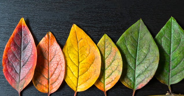 Plan A Perfect Fall Day To Get Your Own Fall Nickname