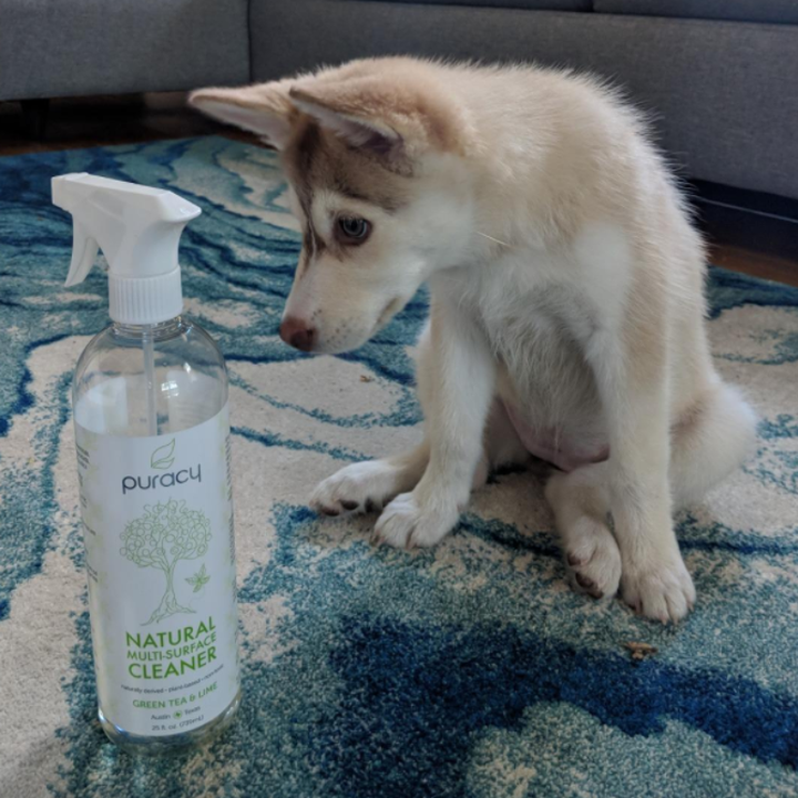 23 Things That'll Make Your Bathroom The Cleanest It's Ever Been