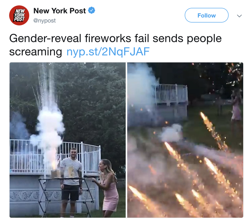 13 Hilarious Gender Reveal Fails That'll Make You Say, "Sorry, But It's ...