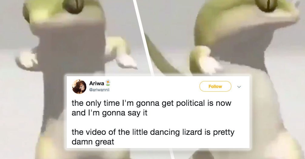 This Dancing Lizard Has Brought Great Wisdom And Happiness To The ...