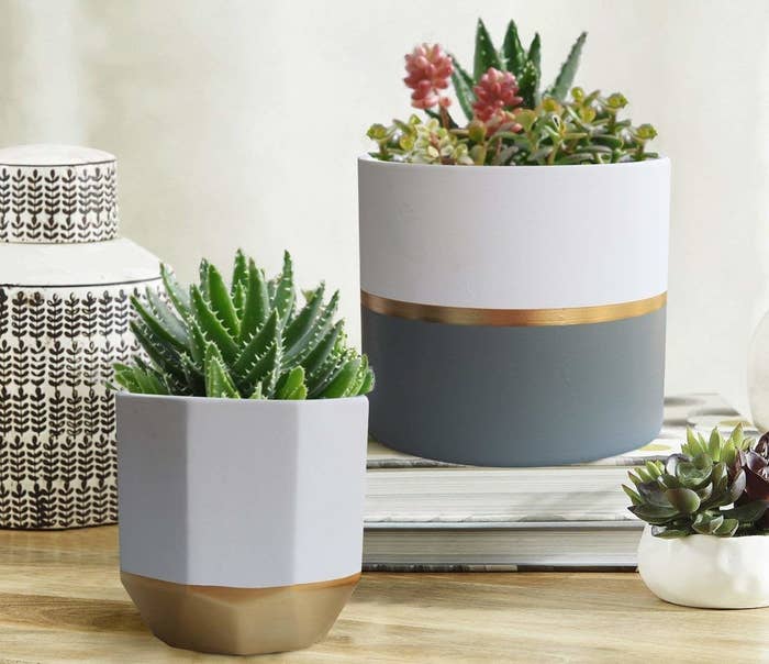 25 Beautiful Planters Both You And Your Leafy Friends Will Love