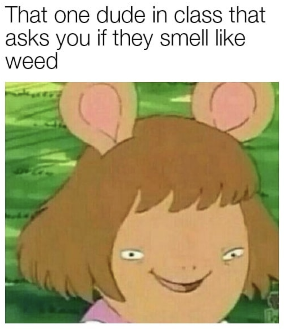 23 Hilarious "Arthur" Memes That'll Make You Say, "Am I D.W.?"