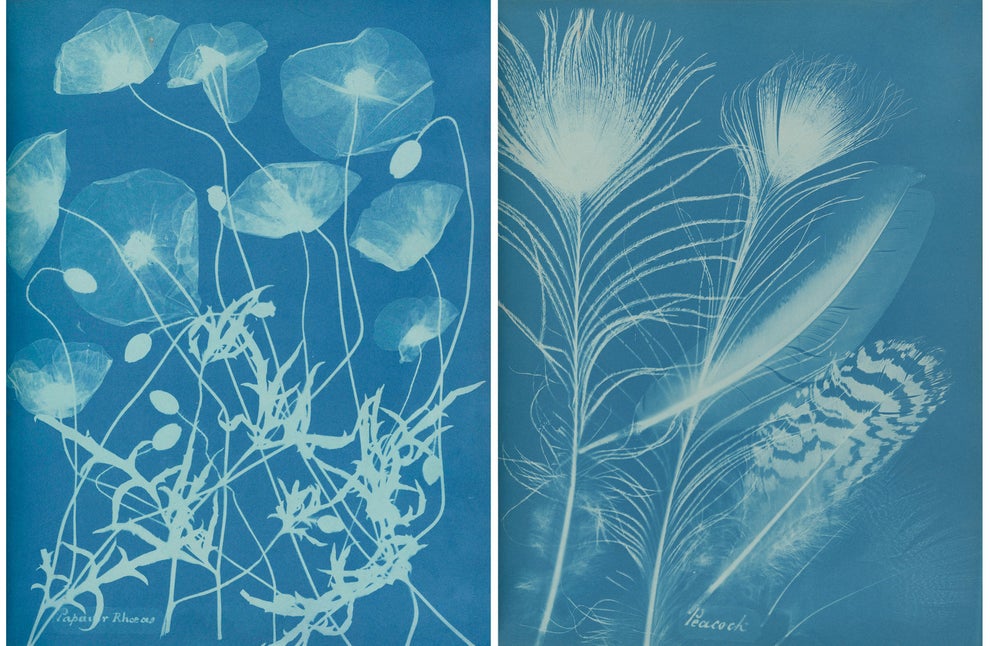 8 Rare And Beautiful Pictures From A Pioneer Victorian Photographer