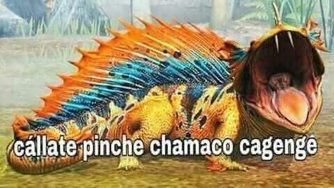 31 Dinomemes para tener la más épica batalla con tus amigos