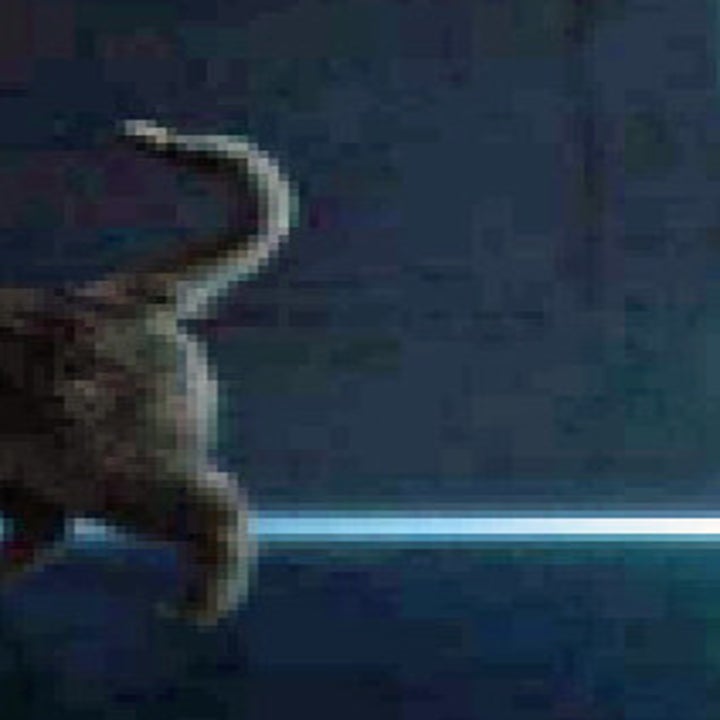 The "Captain Marvel" Details You Might Have Missed In The Trailer