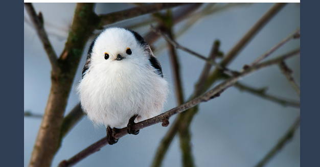 17 Really Great Posts We Saw On Tumblr This Week