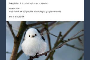 Cates Holderness on BuzzFeed