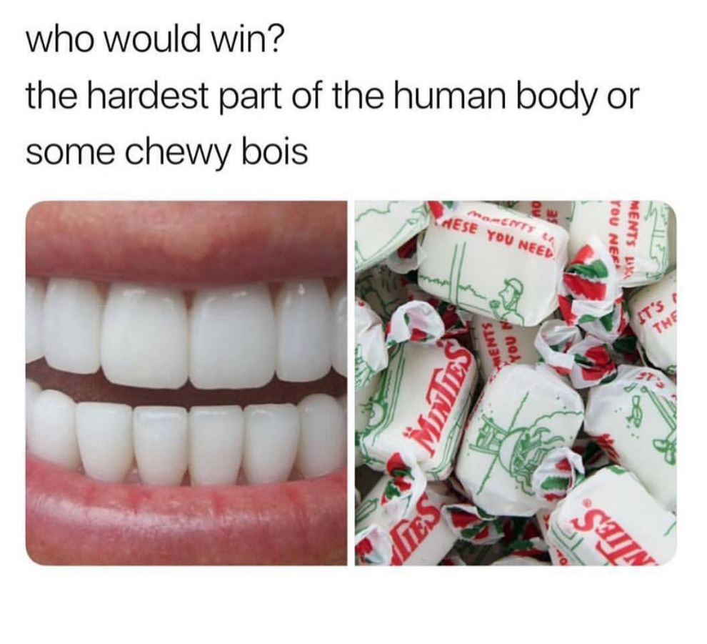 Literally Just 27 Hilarious Memes About Australian Food