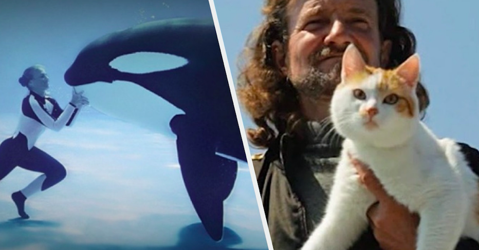 Here Are The 50 Most Popular Documentaries Of All Time On Rotten ...