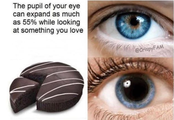 Literally Just 27 Hilarious Memes About Australian Food